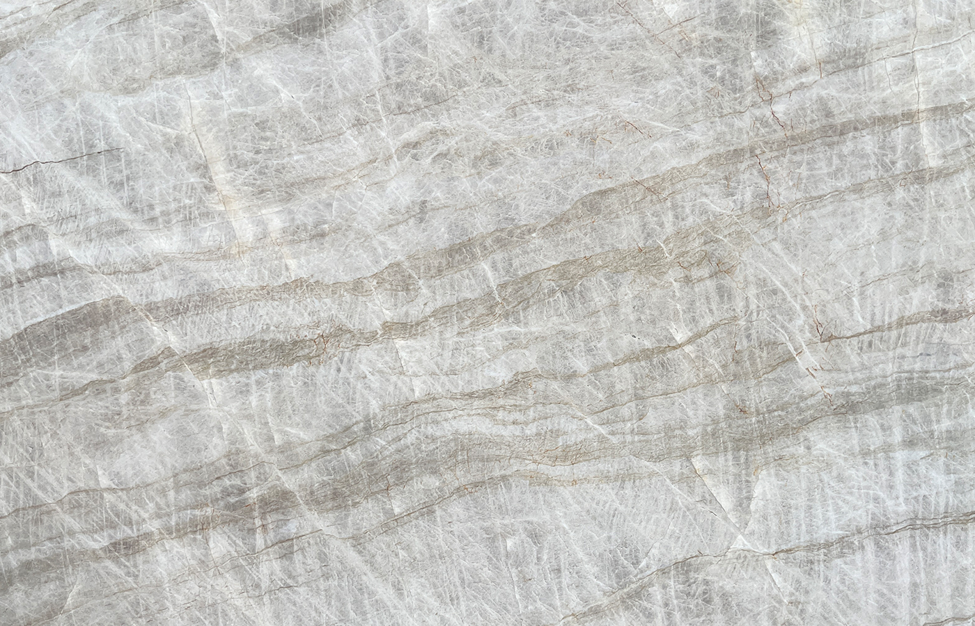 Bellini Bianco | Classic | Matt finish - MARMAR Luxury Stone & Tile Gallery